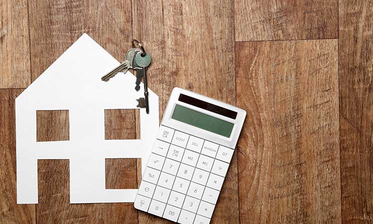 Borrowing power calculator - Quick Lending Experts